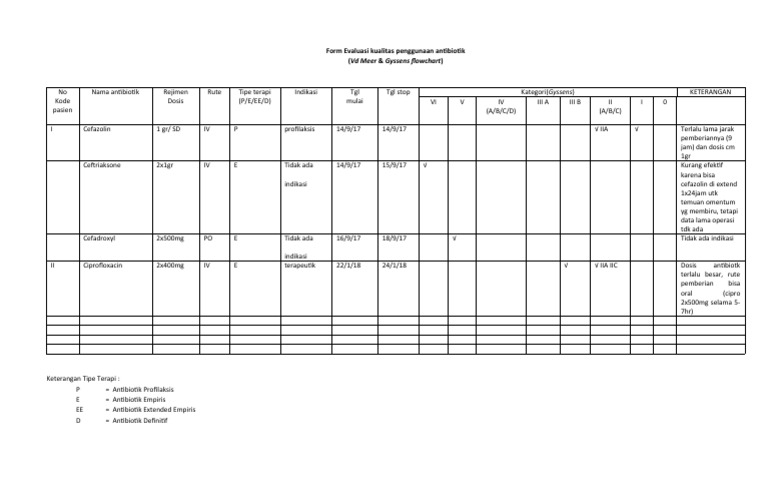 FORM Review Audit Kualitatif PPRA | PDF