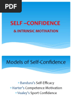Vealey's Sports Confidence Model | PDF | Metaphysics Of Mind | Behavior ...