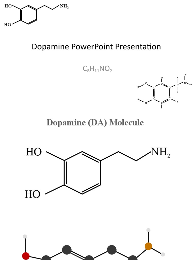Dopamine Powerpoint Presentation: C H No | PDF | Hyperlink | Websites