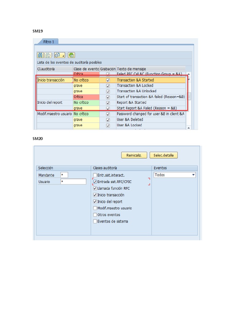 Log de Auditoria (SM18, SM19, SM20) | PDF