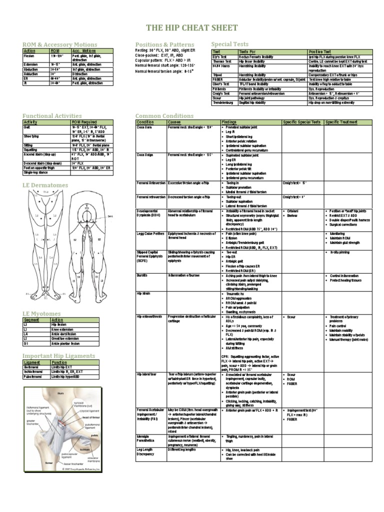 The Hip Cheat Sheet: ROM & Accessory Motions Positions & Patterns ...