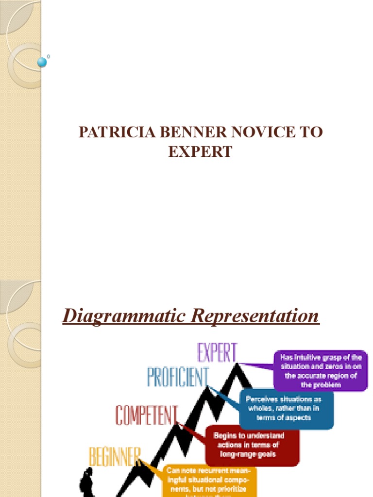 Patricia Benner Novice To Expert | PDF | Expert | Nursing