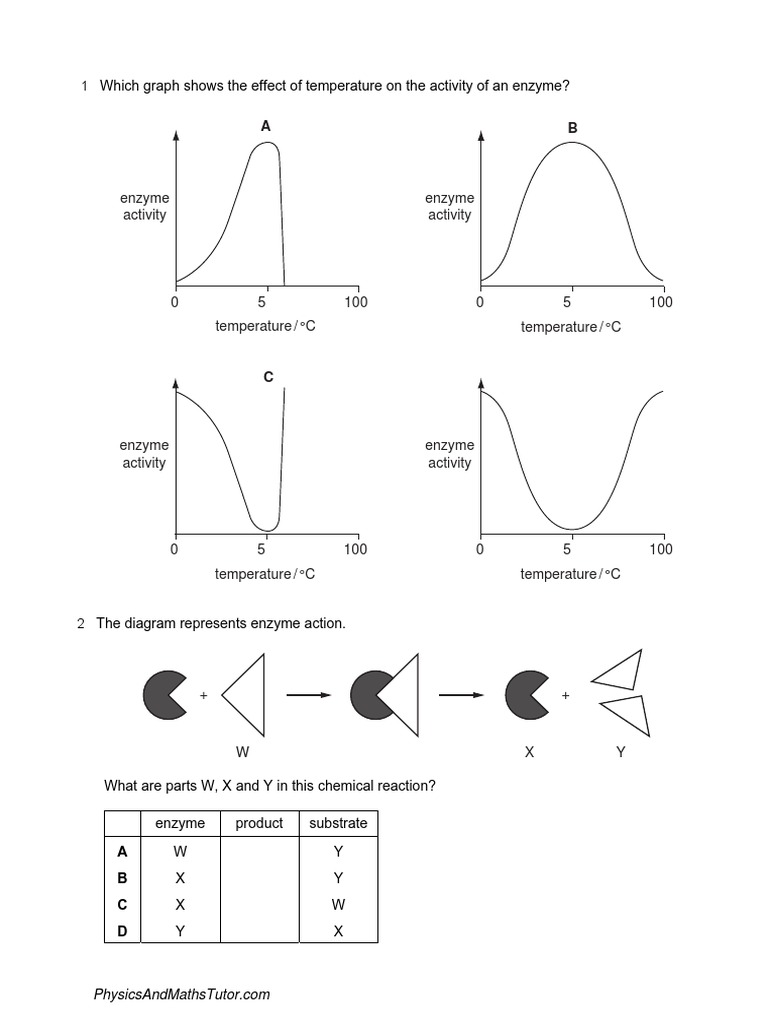 Enzymes (Multiple Choice) QP PDF | PDF | Enzyme | Digestion