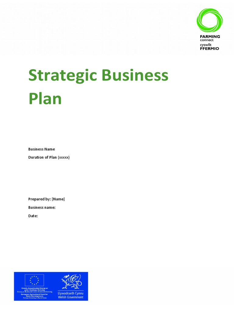 SBP Template en | PDF | Swot Analysis | Economies