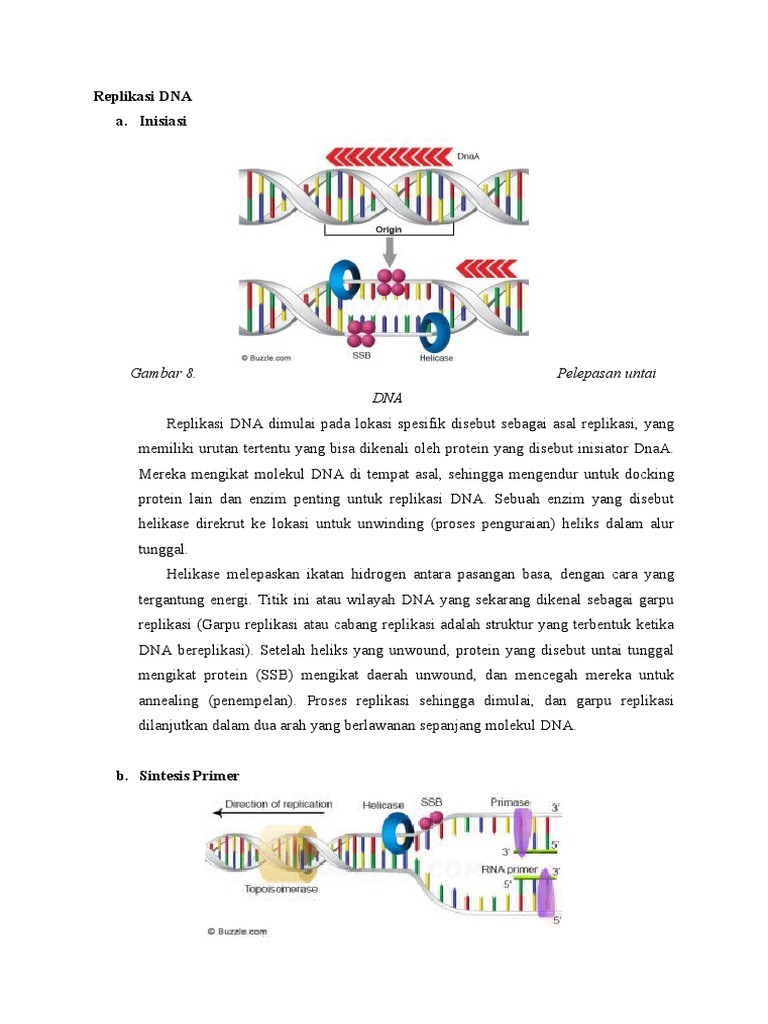 Replikasi DNA | PDF