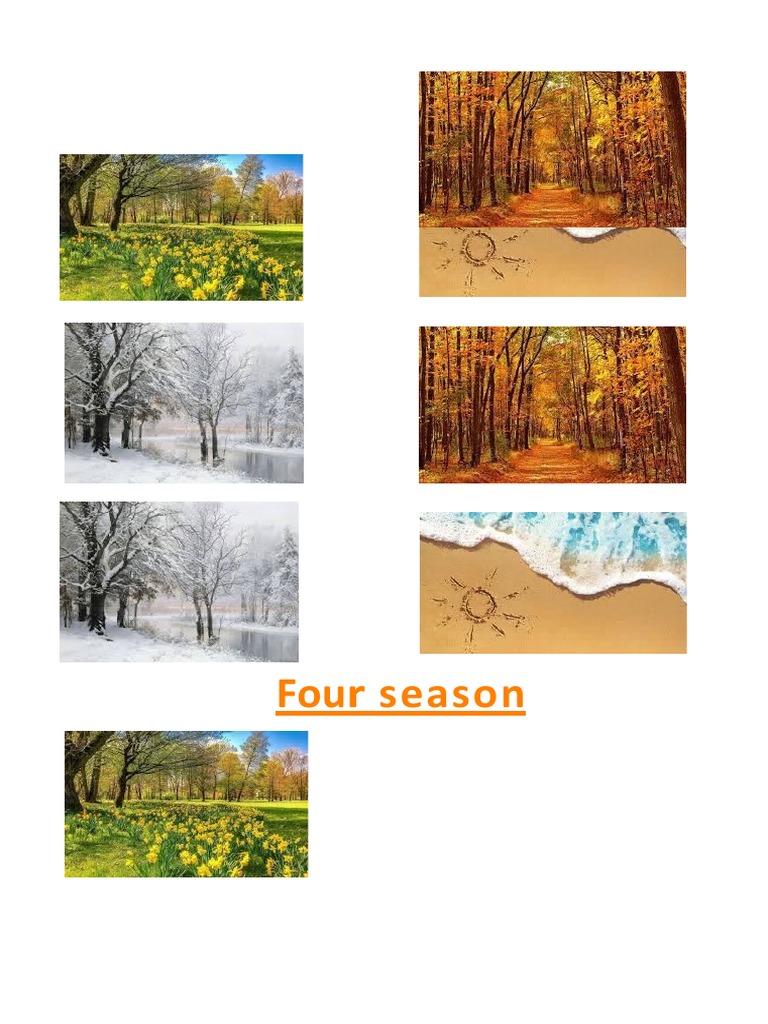Four Seasons Worksheeet (Cefr Year 3) Year in Year Out | PDF