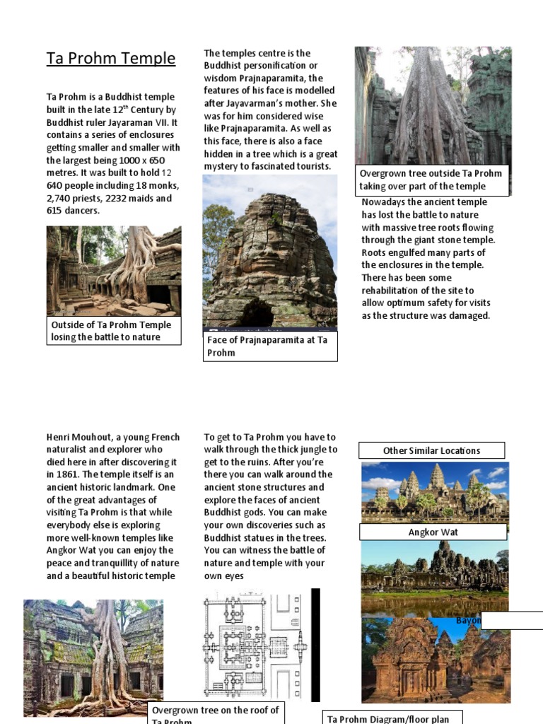Ta Prohm Temple | PDF