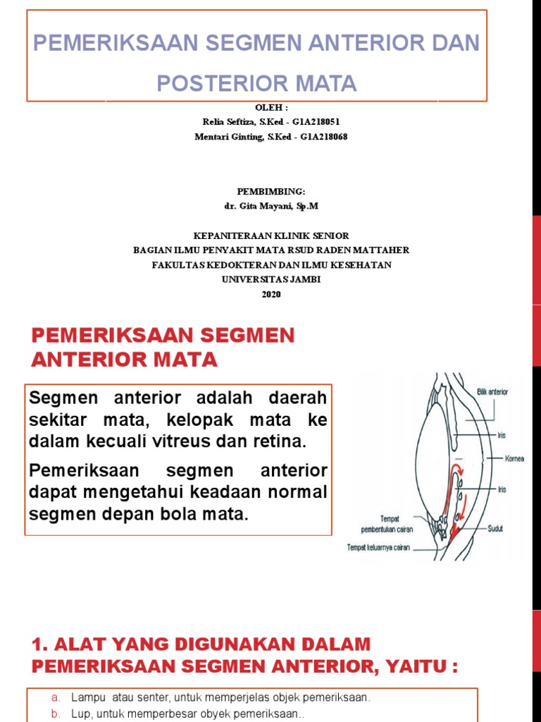 Pemeriksaan Segmen Anterior Dan Posterior Mata - Relia Seftiza Dan Mentari Ginting - Koas Mata ...