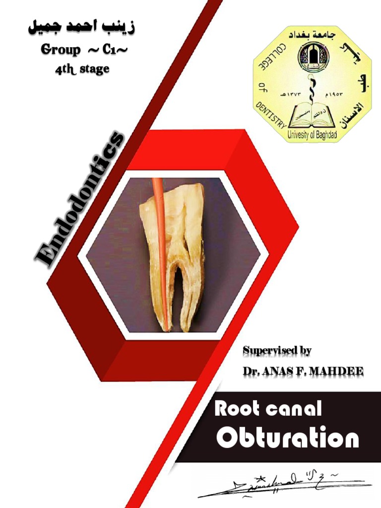 Endo - Final Report | PDF | Mouth | Dentistry