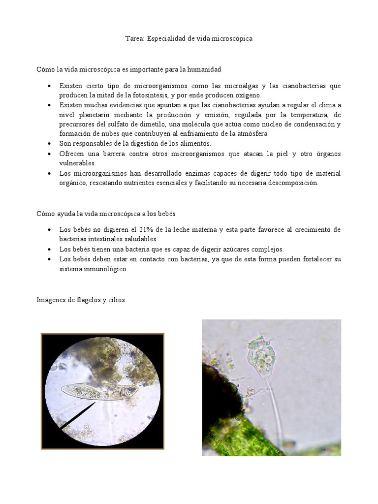 Vida Microscópica | PDF