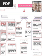 Mapa Conceptual de La Teoría Del Envejecimiento | PDF | Envejecimiento | Mutación