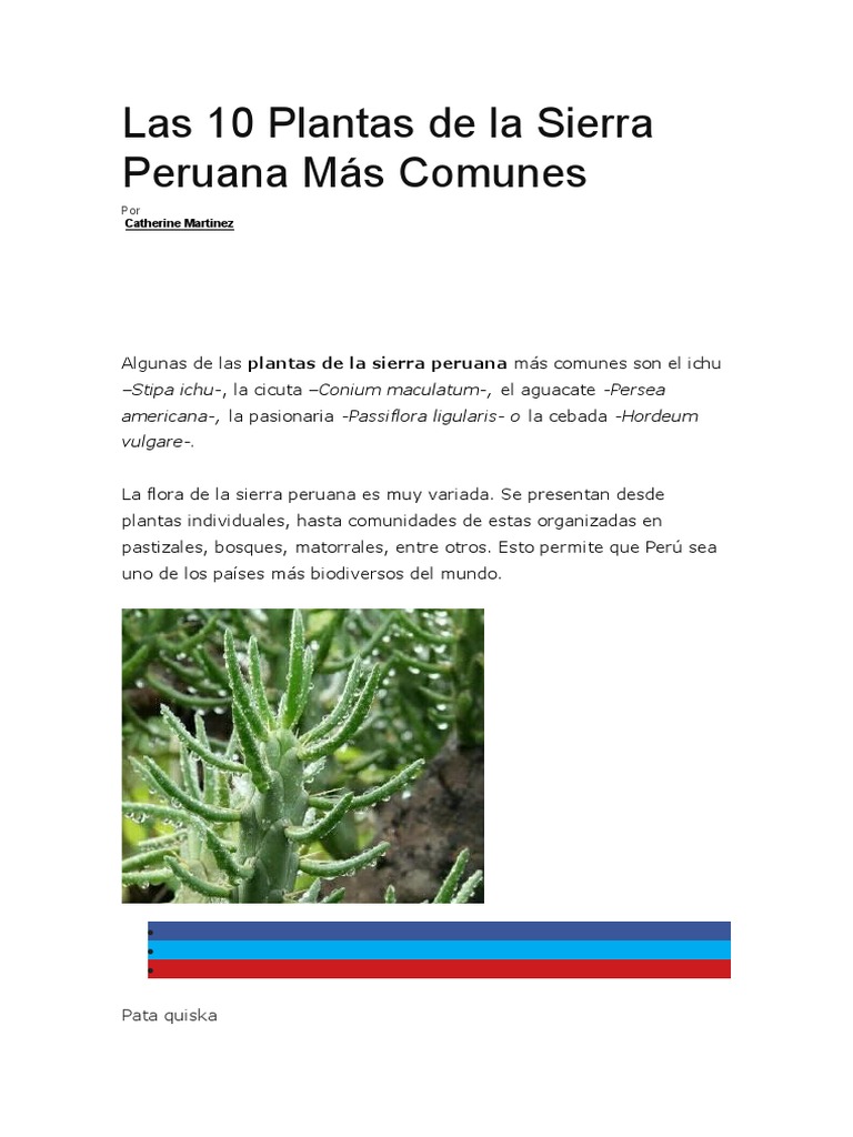 Las 10 Plantas de La Sierra Peruana Más Comunes | PDF | Aguacate | Cebada