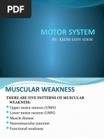 Tone, Power, and Reflexes Examination | PDF | Anatomical Terms Of ...
