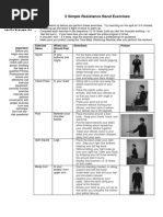 Upper Body Thera Band Exercise Program - Basic | PDF | Elbow | Arm