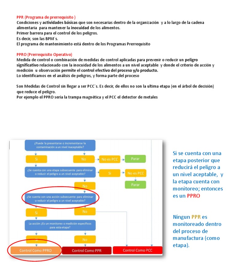 Diferencia Entre PPR y PPRO | PDF