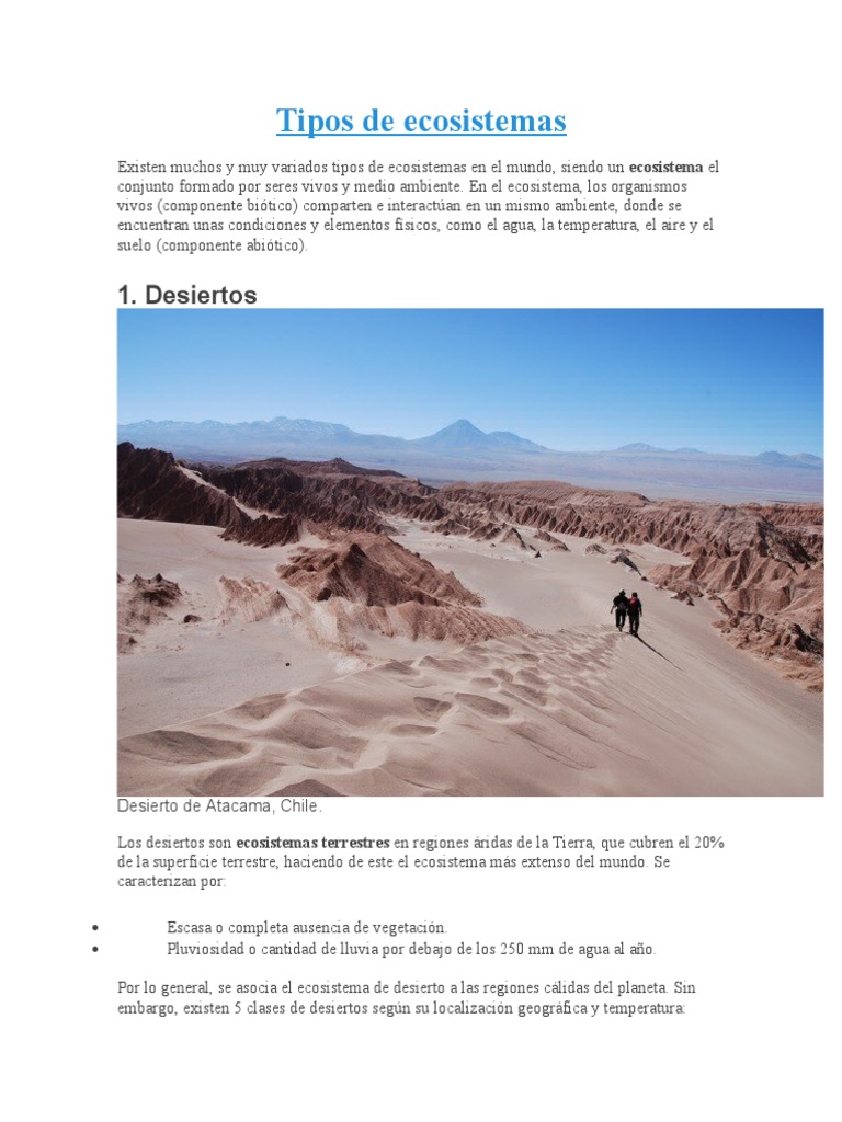 Tipos de Ecosistemas | PDF | Desierto | Ecosistema
