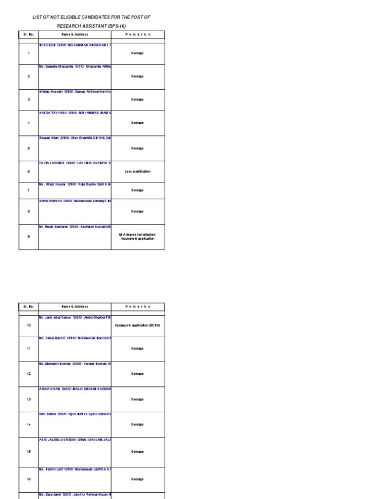 Computer Assistant | PDF