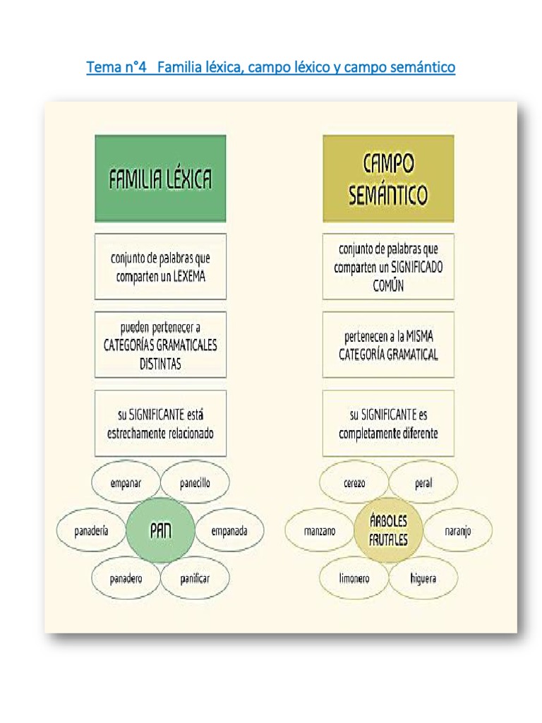 Mapa Conceptual Familia Léxica 7° PDF | PDF