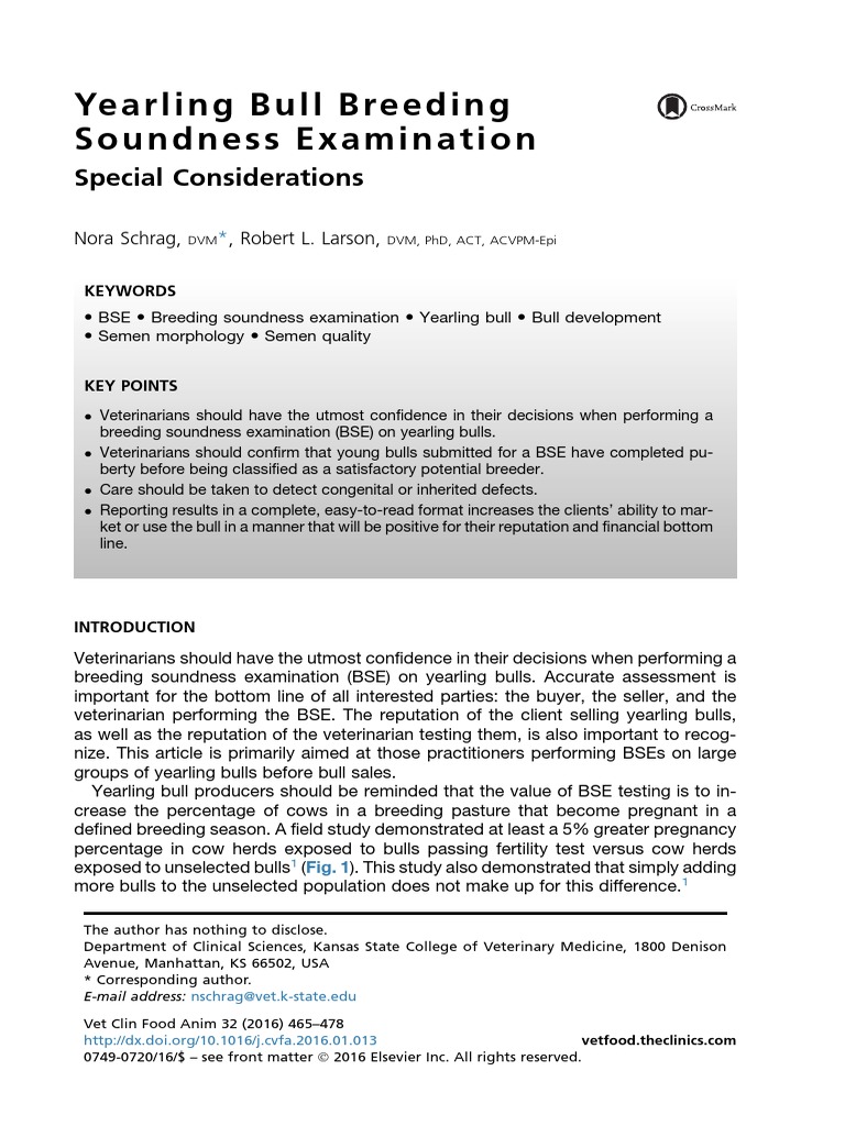 Yearling Bull Breeding Soundness Examination | PDF | Cattle | Testicle