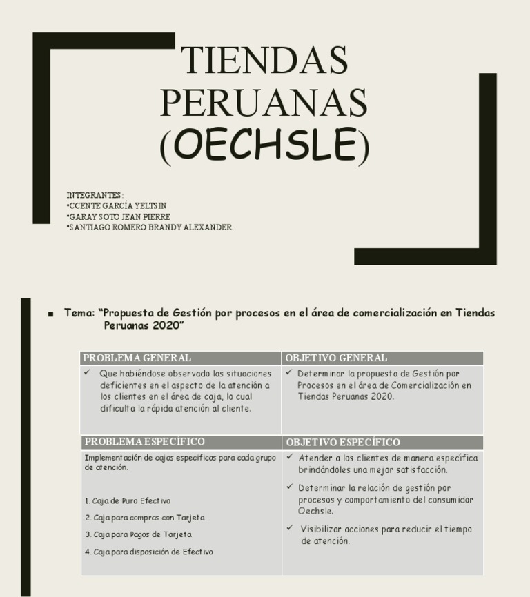 Tiendas Peruanas Oechsle | PDF