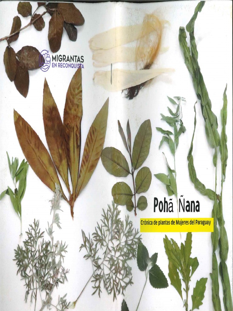 Poha Ñana | PDF