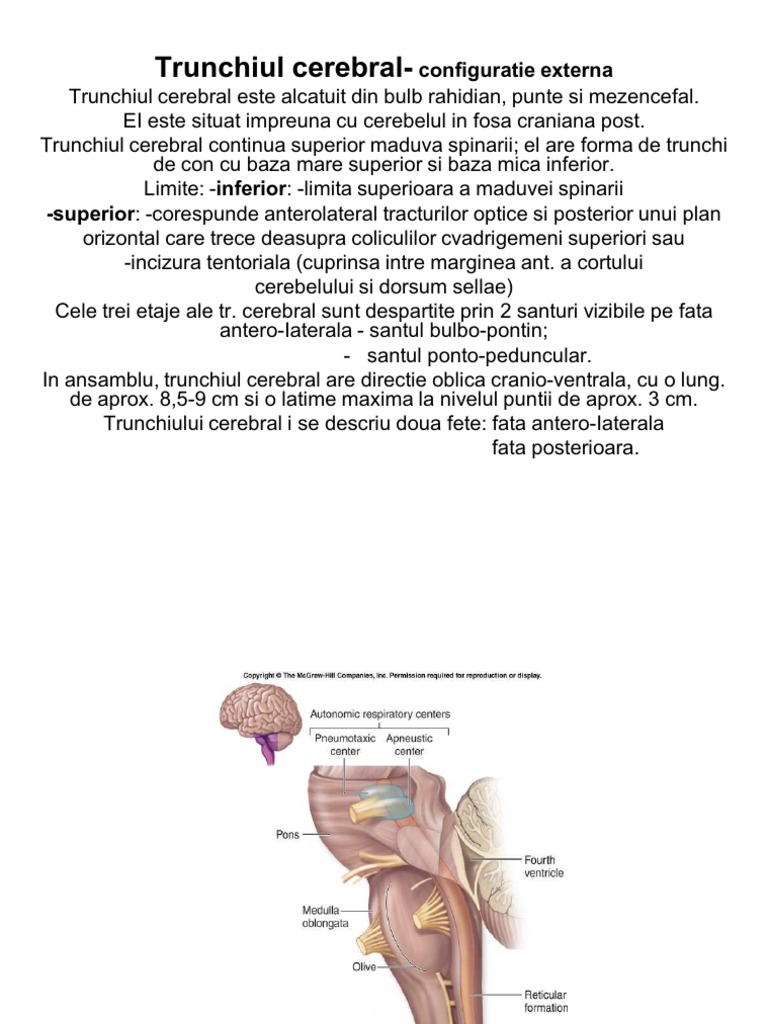 37342119 Curs Trunchi Cerebral