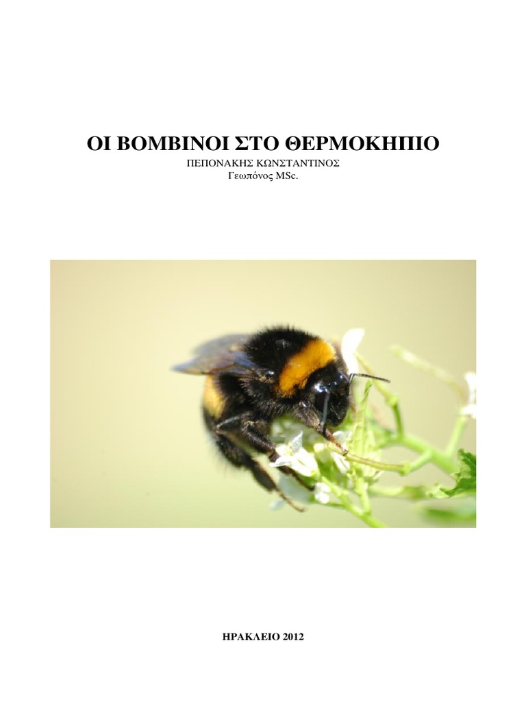 ΟΙ ΒΟΜΒΙΝΟΙ ΣΤΟ ΘΕΡΜΟΚΗΠΙΟ | PDF