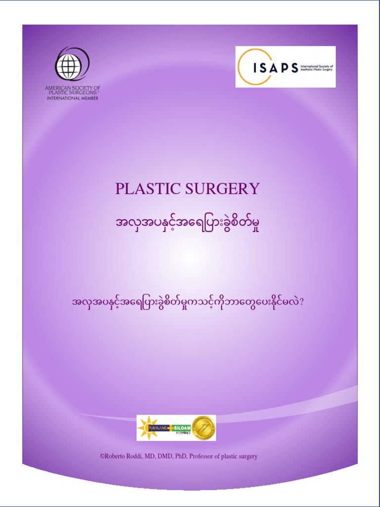 Myanmar PS PDF | PDF