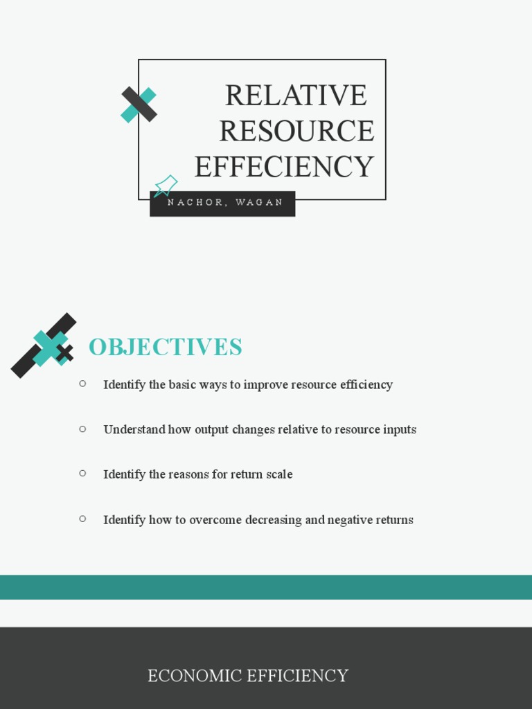Relative Resource Efficiency | PDF | Efficiency | Economies Of Scale