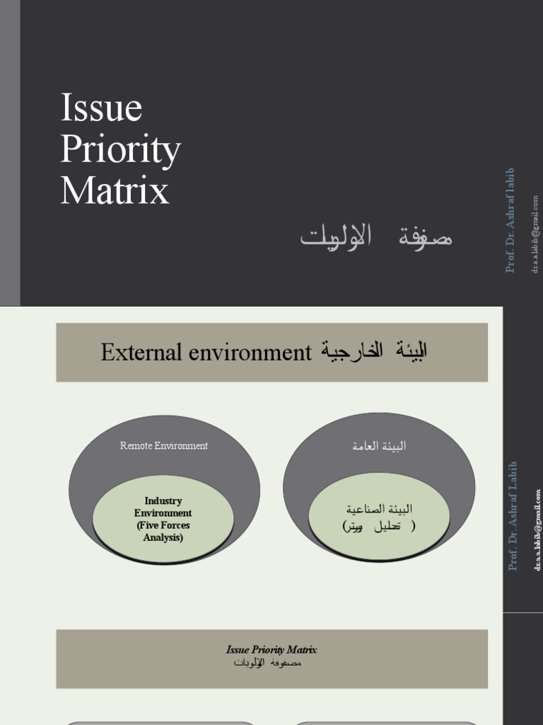 Issue Priority Matrix 3 | PDF Issue Priority Matrix 3 | PDF