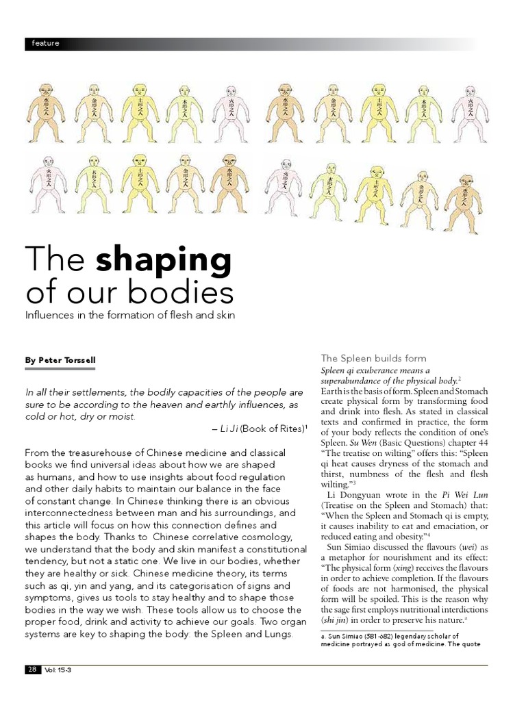 Shaping the Body in Chinese Medicine | PDF | Traditional Chinese ...