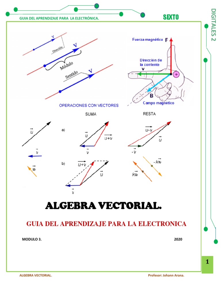 Algebra Vectorial | PDF | Vector Euclidiano | Escalar (Matemáticas)