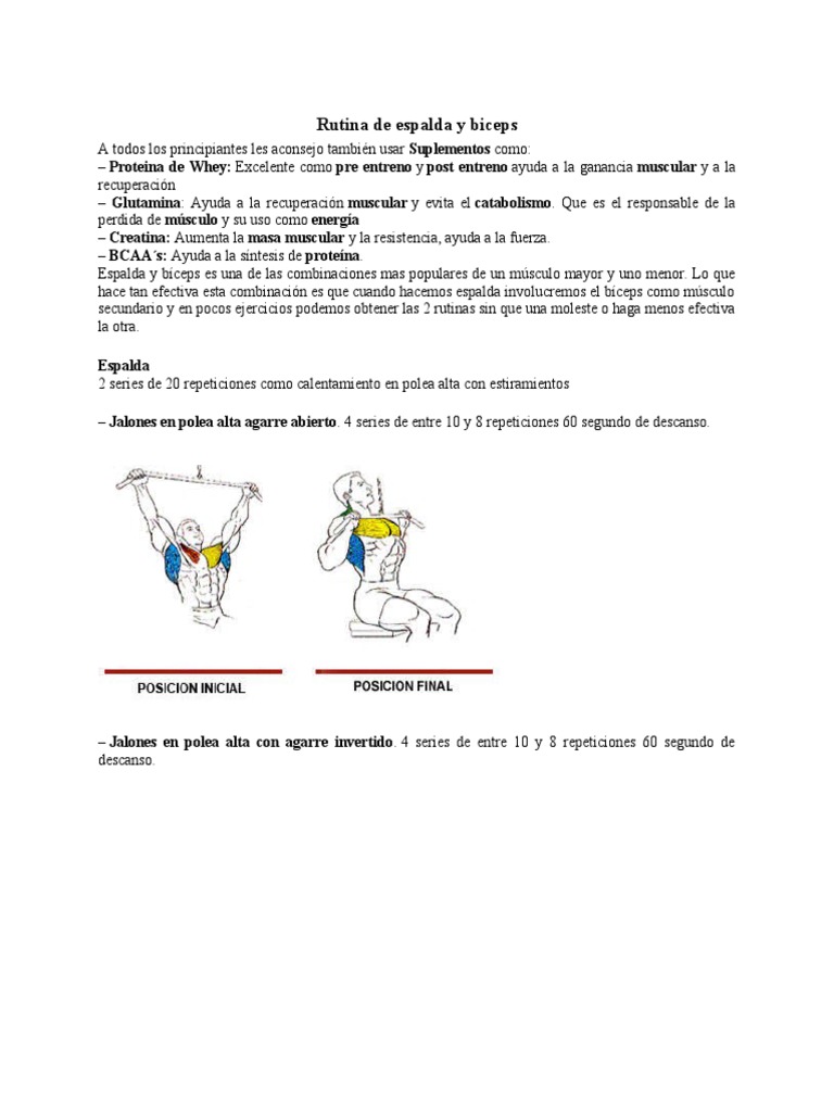 Rutina de Espalda y Biceps | PDF
