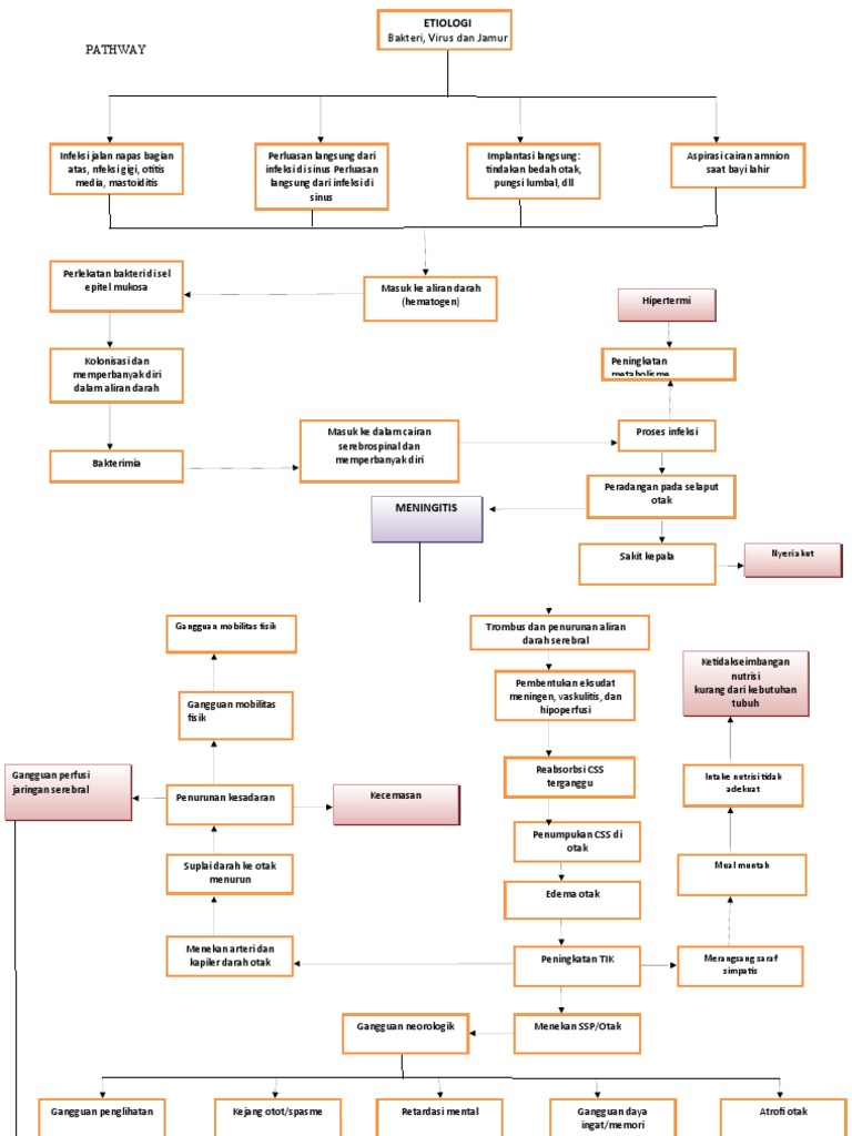 Pathway Meningitis-1 | PDF