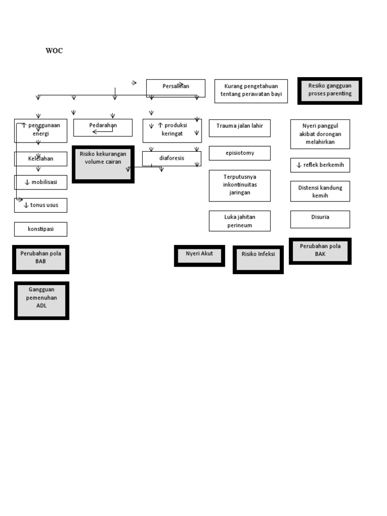 WOC Post Partum | PDF