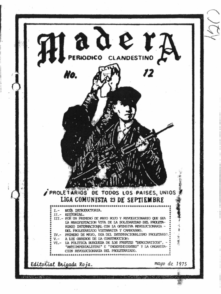 Periódico Madera #12 | PDF