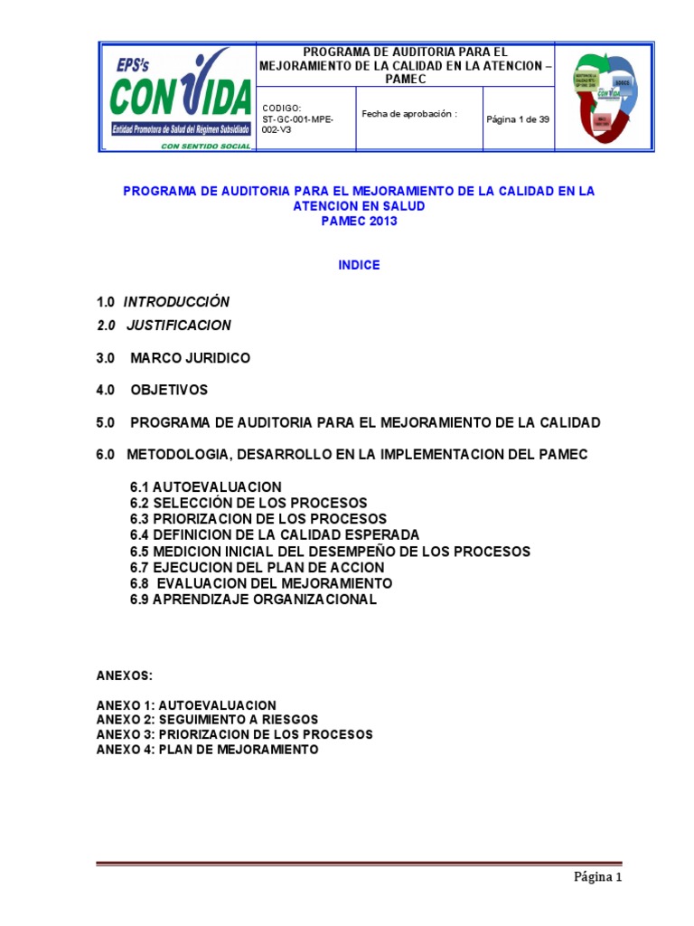 Pamec 2013 | PDF | Gestión de la calidad | Gestión de Procesos de Negocio