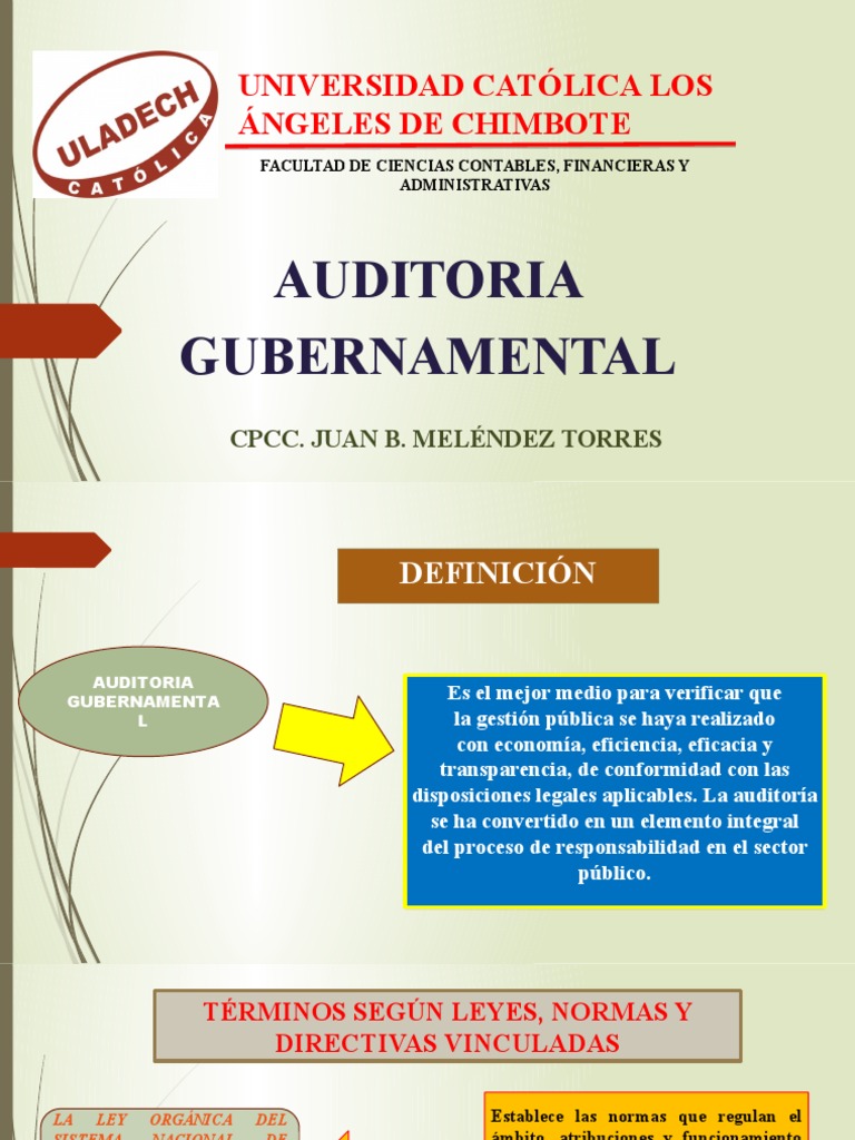 Auditoría Gubernamental y Control Público | PDF | Auditoría ...