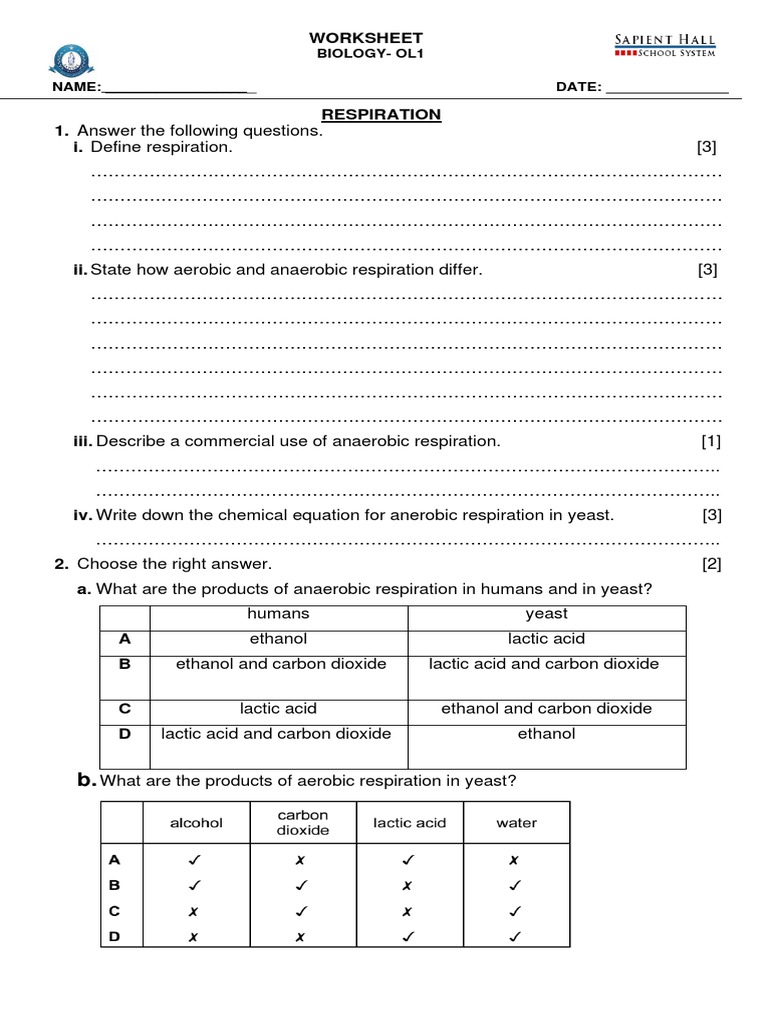Respiration Worksheet #1 | PDF