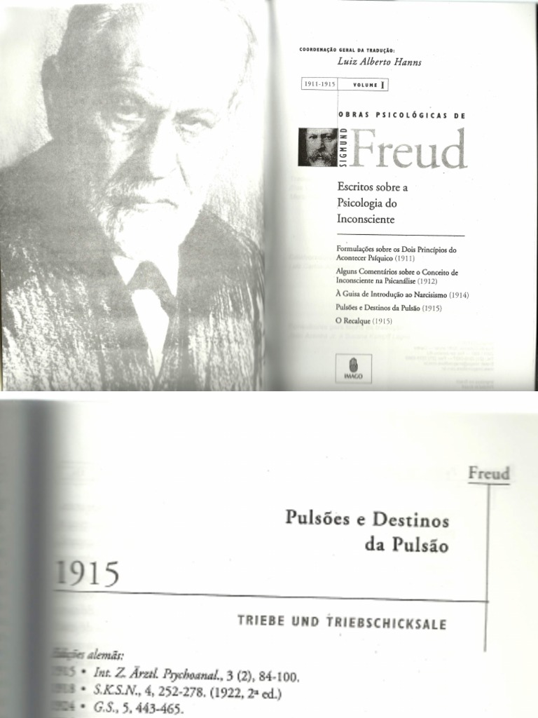 Pulsões e Destinos Da Pulsão - Freud | PDF
