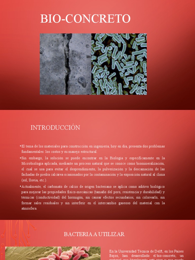 Bioconcreto: Innovación en Construcción | PDF | Las bacterias | Hormigón