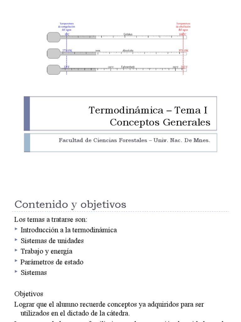 Termo - Tema I | PDF | Presión | Calor
