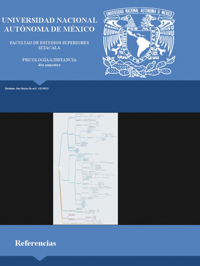 Perspectivas Teoricas Sobre La Conducta Desadaptada | PDF