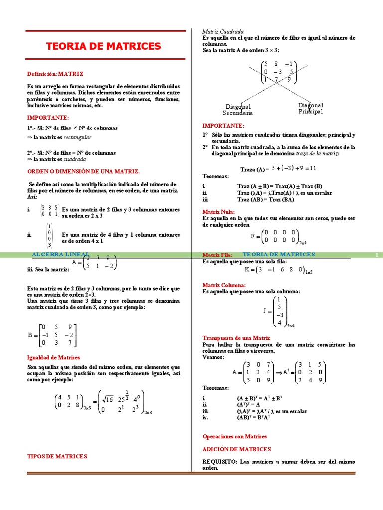 Teoria de Matrices | PDF | Exponenciación | Matriz (Matemáticas)