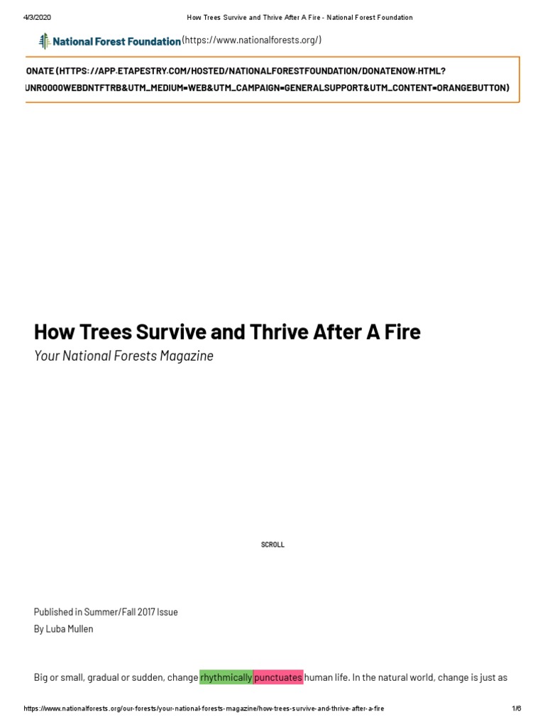 How Trees Survive and Thrive After A Fire - National Forest Foundation ...