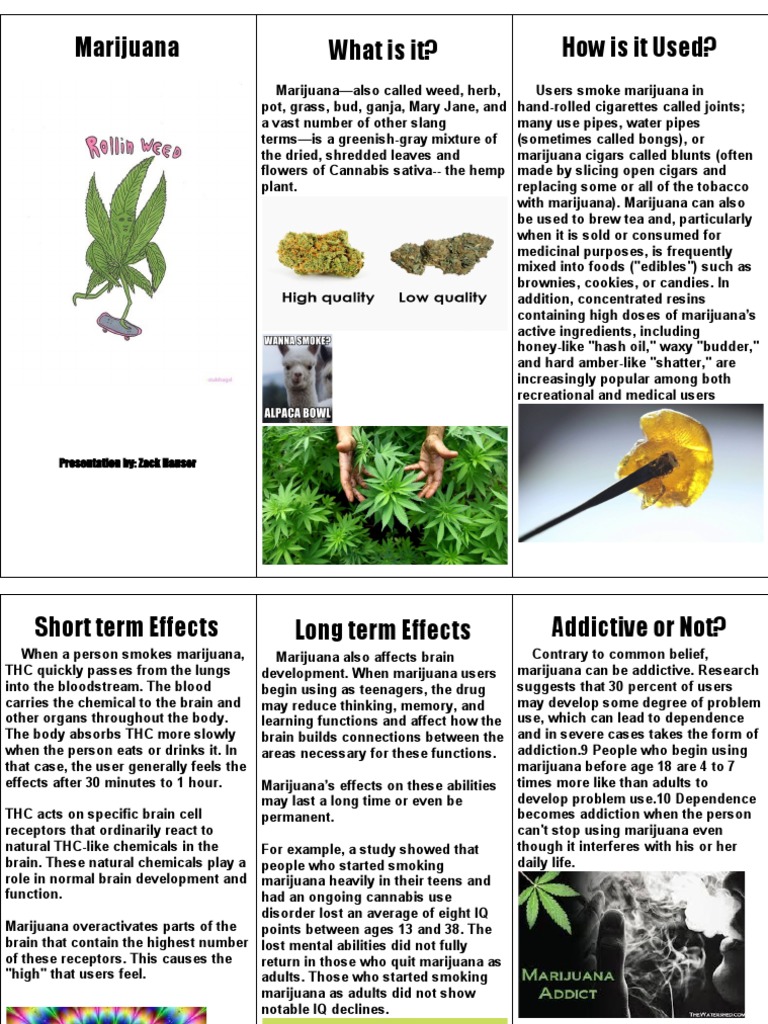Marijuana What Is It? How Is It Used?: Presentation By: Zack Hauser ...