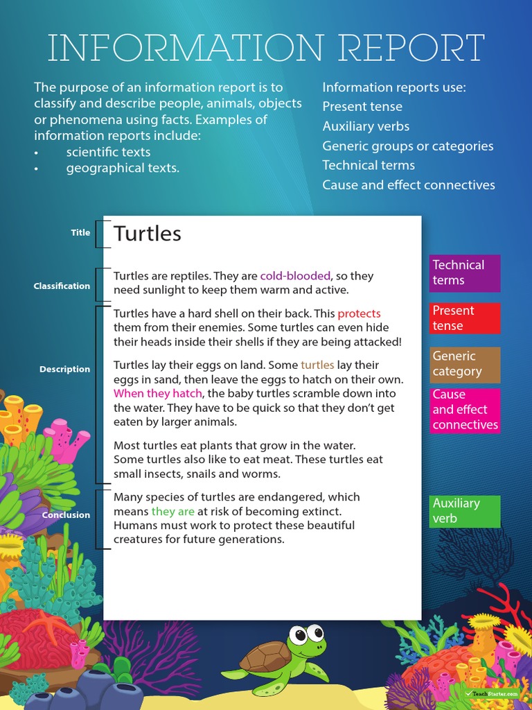 Information-Report-Text-Type-Poster-With-Annotations-Colour 70797 | PDF ...