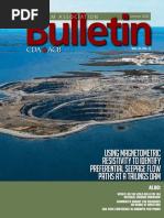 Ancold - Guidelines On Tailings Dam | PDF
