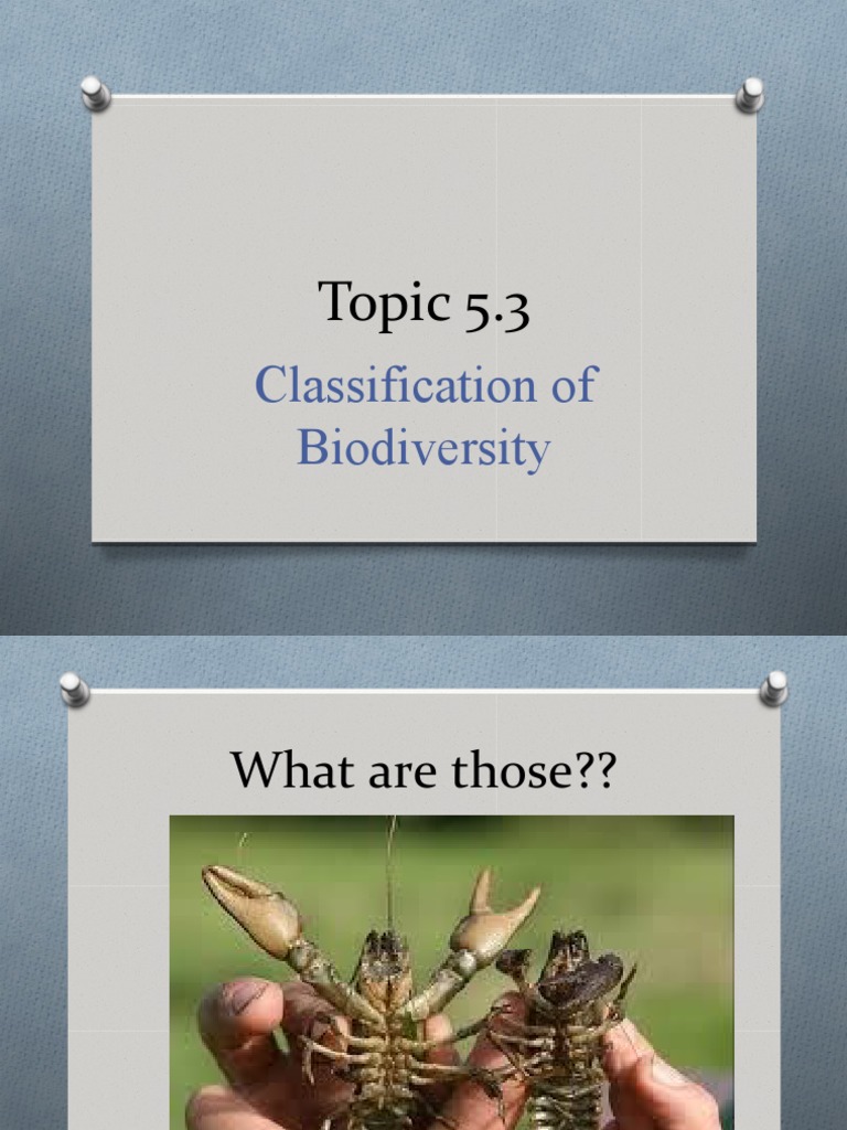 Topic 5.3: Classification of Biodiversity | PDF | Taxonomy (Biology ...