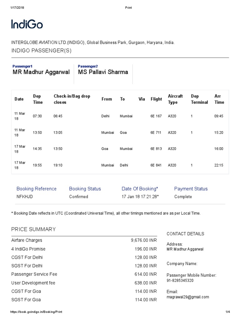 Indigo PDF | PDF | Aviation | Business